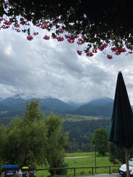 Hotel Panorama - Cavalese