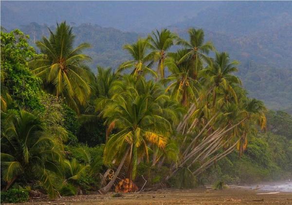 Cabinas El Paso De Moisés - Costa Rica