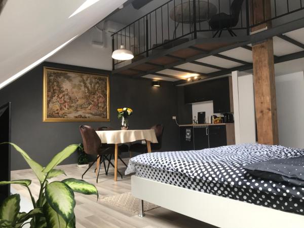 Savoya 2 Studio Self Check-in Old City Center - Timișoara