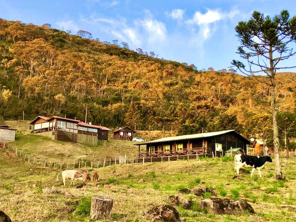 Fazenda Morro Das Torres - Bom Retiro