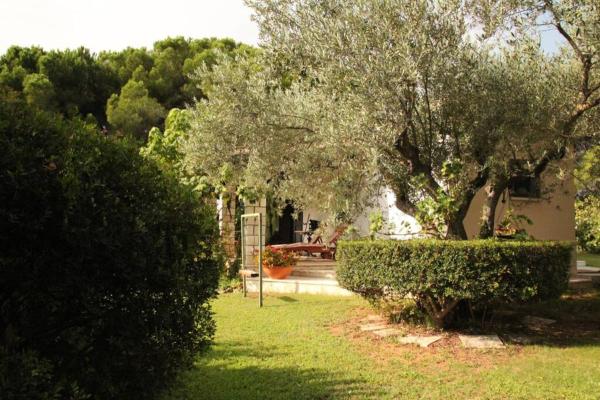Villa Di Campagna Vicino Al Mare - Italy