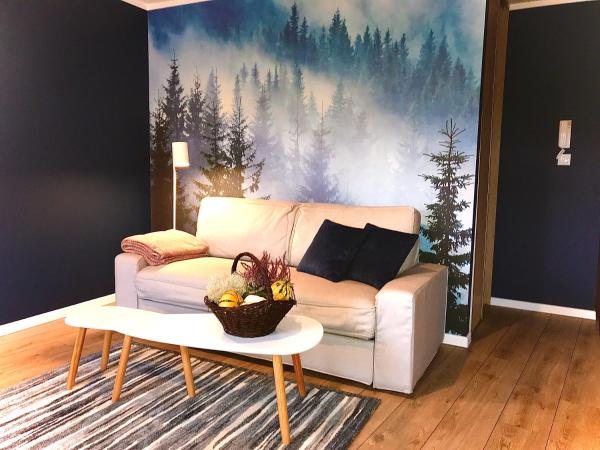 Apartament „Blue Forest” - Odra