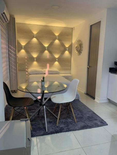 Aparta-estudio Amoblado Con Excelente Ubicación Y Aire Acondicionado - Ibagué