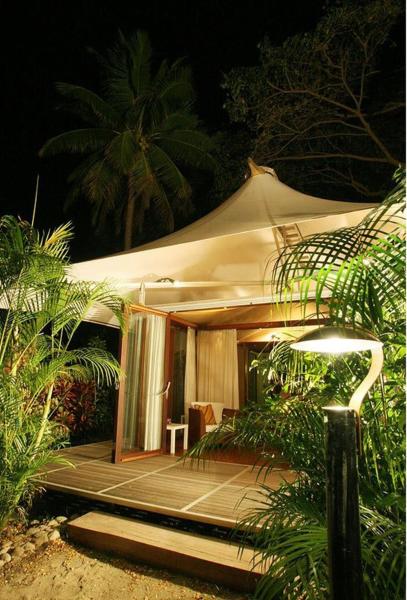 The Fiji Orchid - Fiji