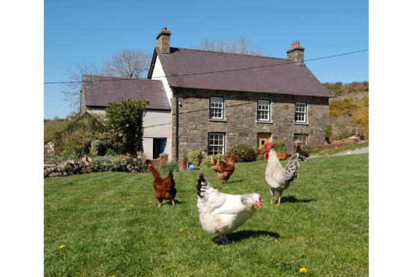 Nantgwynfaen Organic Farm Wales - Ceredigion