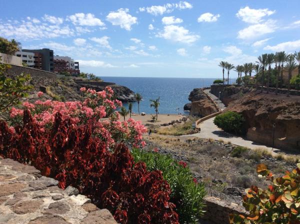 Appartement à Playa Paraiso - Tenerife