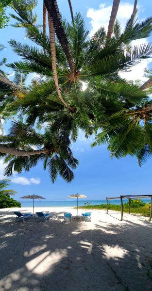 Ocean Jewels - Seychellen
