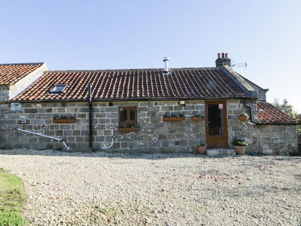 Dovecote Cottage - Ravenscar