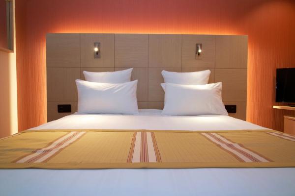 Nash Airport Hotel - Versoix