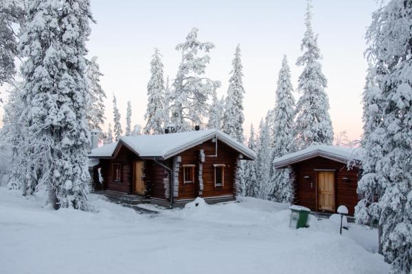 Taigakolo, Luosto - Rovaniemi