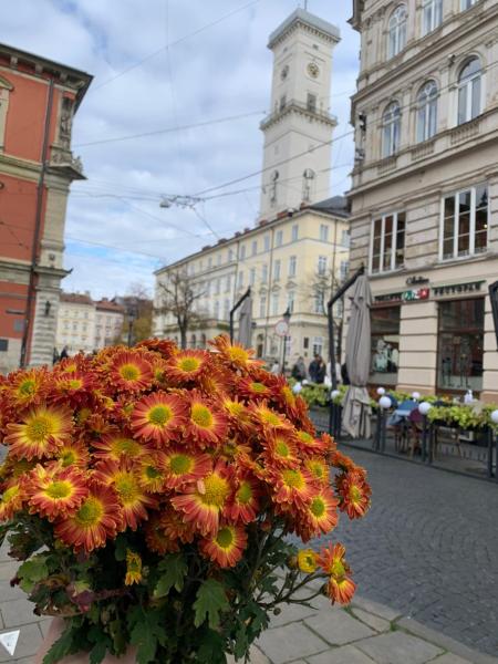 Апартаменти в центрі міста - Lviv