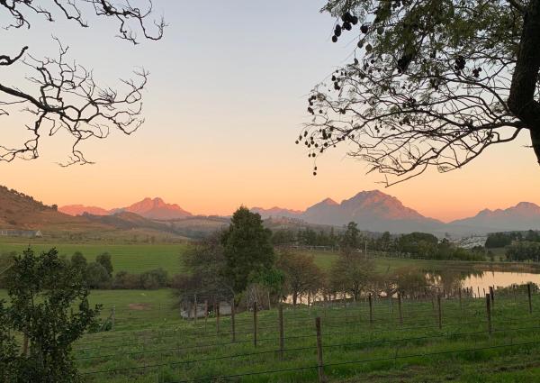 Wildlife Retreat On A Wine-farm - Stellenbosch
