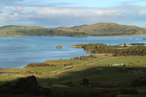 Niagara Ridge Retreat Catlins - Southland