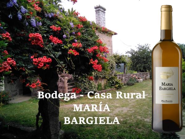 Casa Rural Maria Bargiela - Valença