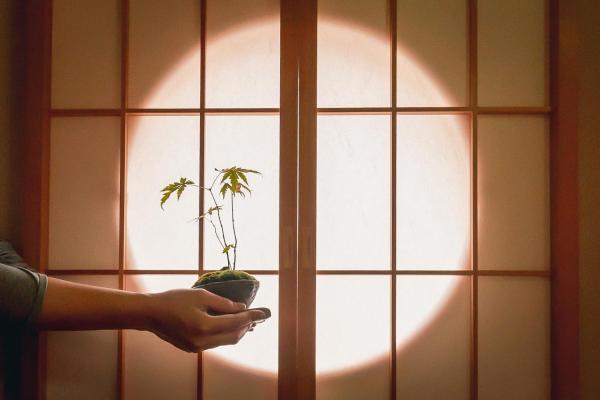 Guesthouse Chayama - Kyoto