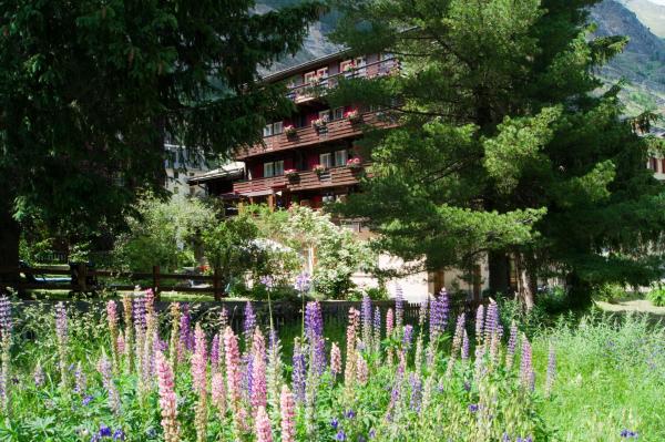 Hotel Alpina - Grimentz