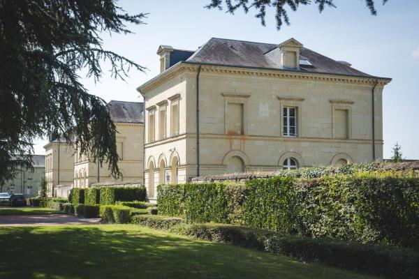 Domaine De Roiffé - Chinon