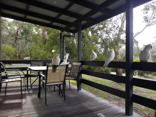 Cockatoo Cabin In Halls Gap - Halls Gap