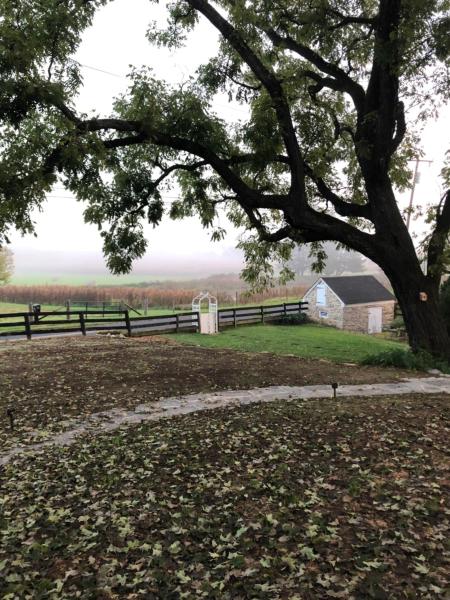 Cider House Bed And Breakfast - Waynesboro, VA