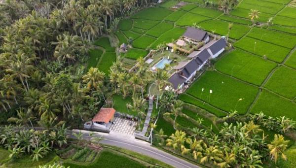 Green Coconut Cottage - Bali