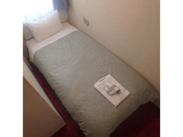 Nonsmoking Annex Semidouble Room Without Meals / Toshima-ku Tokyo - Ikebukuro