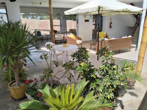 Icthus Paracas - Peru