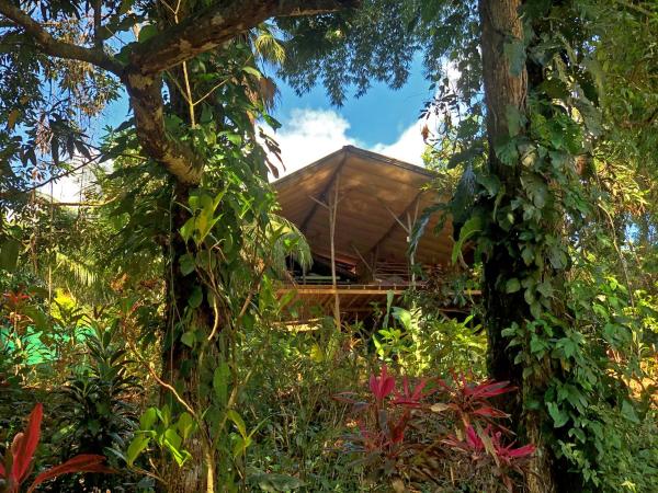 Cascada Verde Hostel - Costa Rica