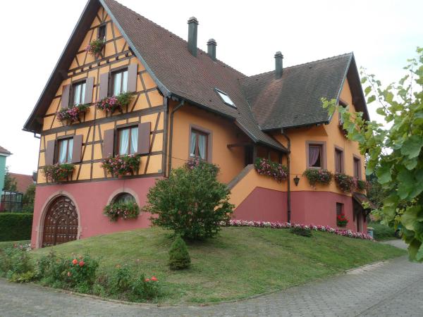 Marronnier - Dambach-la-ville