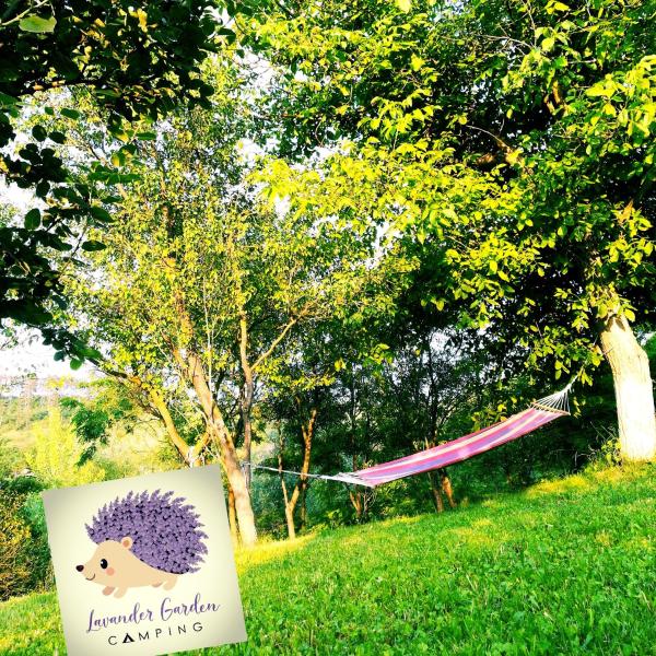 Lavander Garden Camping - Transilvania
