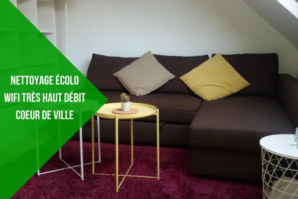 L1 - Green And Cosy Flat Close Paris - Wifi - Jouy-en-Josas