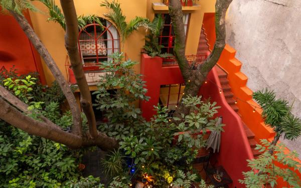 The Red Tree House - Mexico City