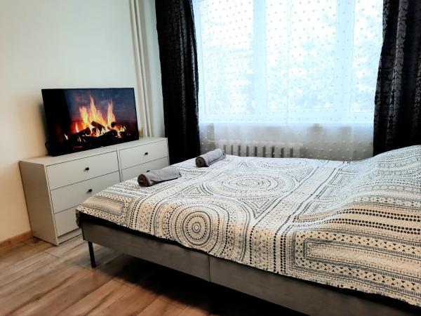 M&m Apartment V Self Check-in - Lithuania