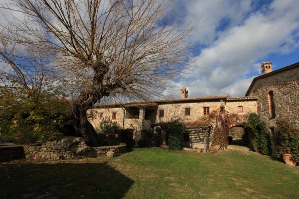 Antico Gelso - Todi