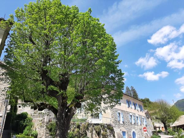 Le Sareymond - Lus-la-Croix-Haute