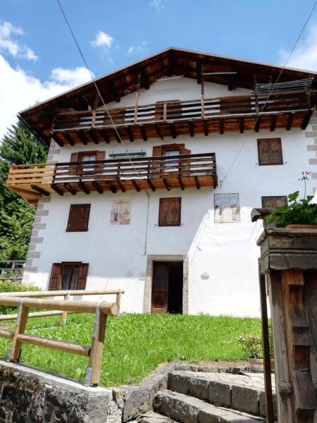 Piccola Stella Alpina - Marmolada