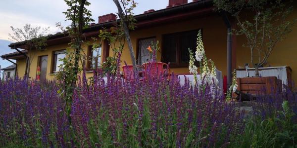 Pszczeli Ogród - Agroturystyka - Polen