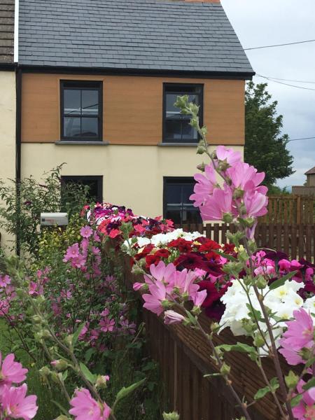Willow Mews - Llanelli
