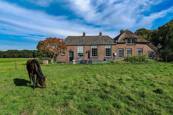 Tranquility Farm - Dalfsen
