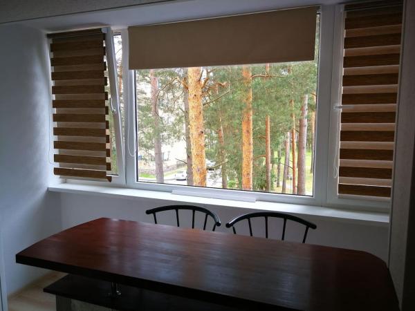 Light One Room Apartment - Lituania
