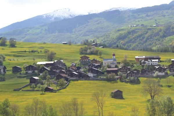 Chalets Casa Da Luzi - Canton des Grisons