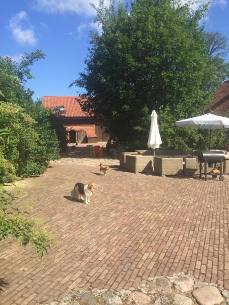 Siedlisko Błominko - Mazury