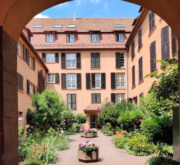 Au Kugelhopf Doré - Centre Historique - Alsace