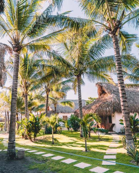 Paredon Surf House - El Paredón Buena Vista