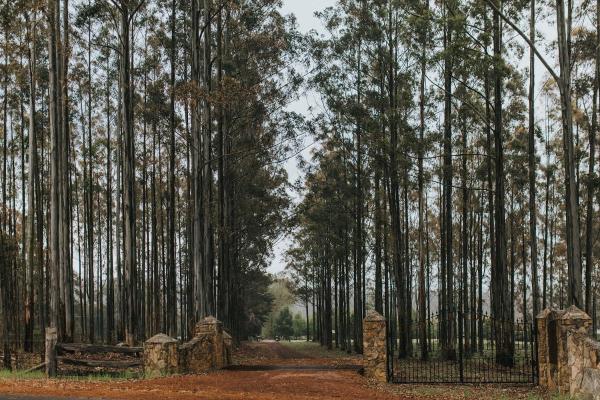 Clover Cottage Country Retreat - Manjimup