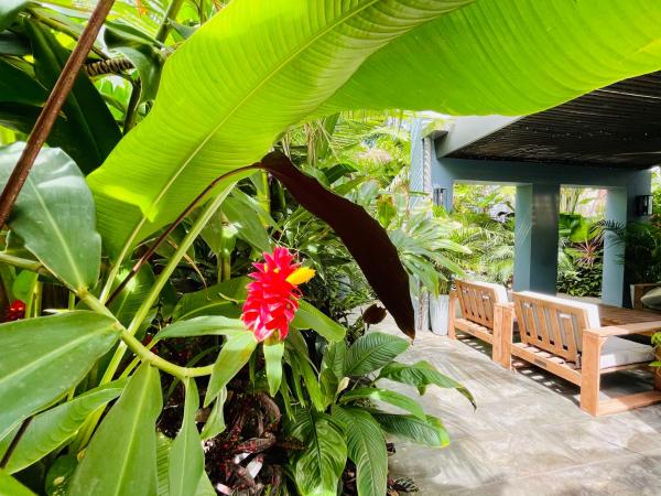 Lahania Lux Beach Villa - Cairns