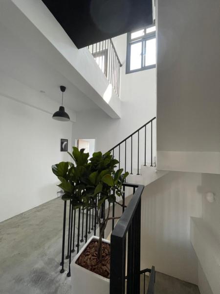 愛放假 Pourquoi Pas - 花蓮市