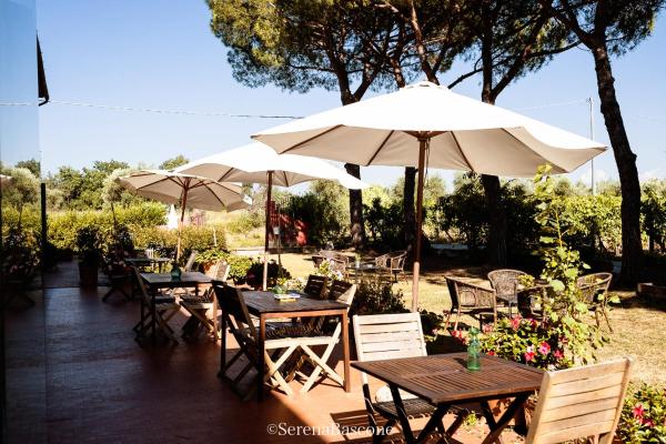Locanda Il Fornello - Montecarlo, Italy