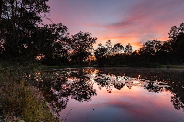 Hunter Hideaway Cottage Chardonnay - Lovedale