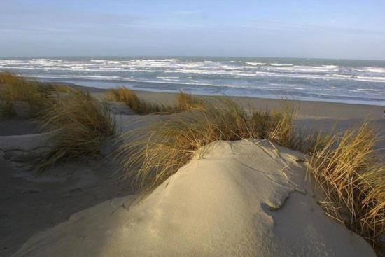 Maison Cote Dune - Le Crotoy