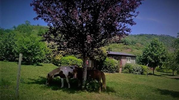 La Frégière Chalets - Occitanie